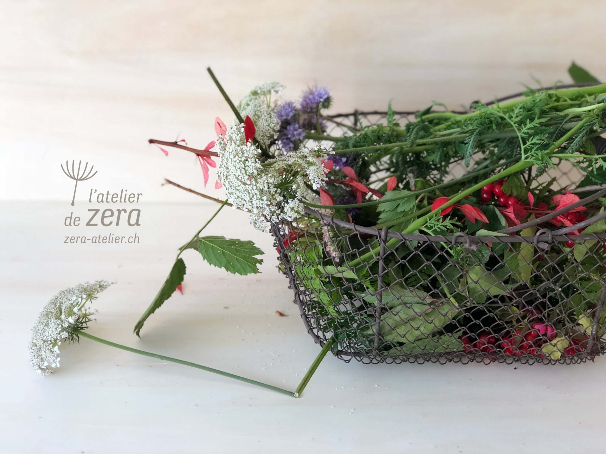 L'atelier de Zera - Tatoutici.ch